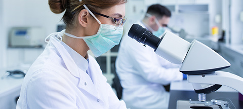 Mission and Vision | ESIS