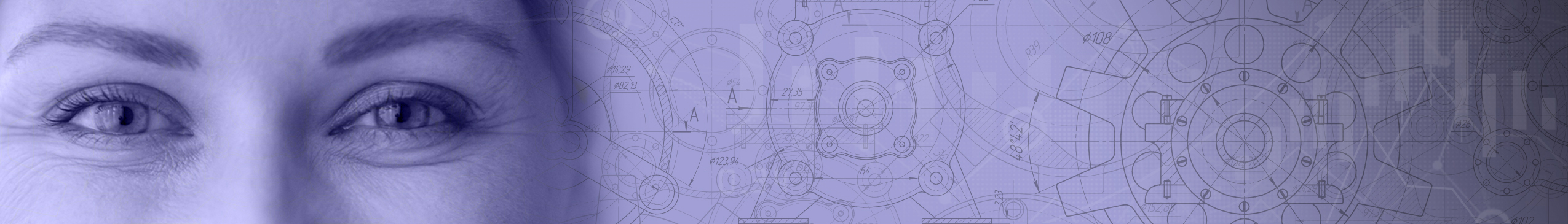 The ESIS Blueprint | ESIS