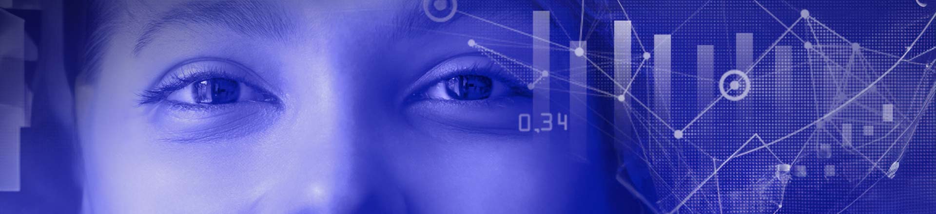 The ESIS Blueprint | ESIS